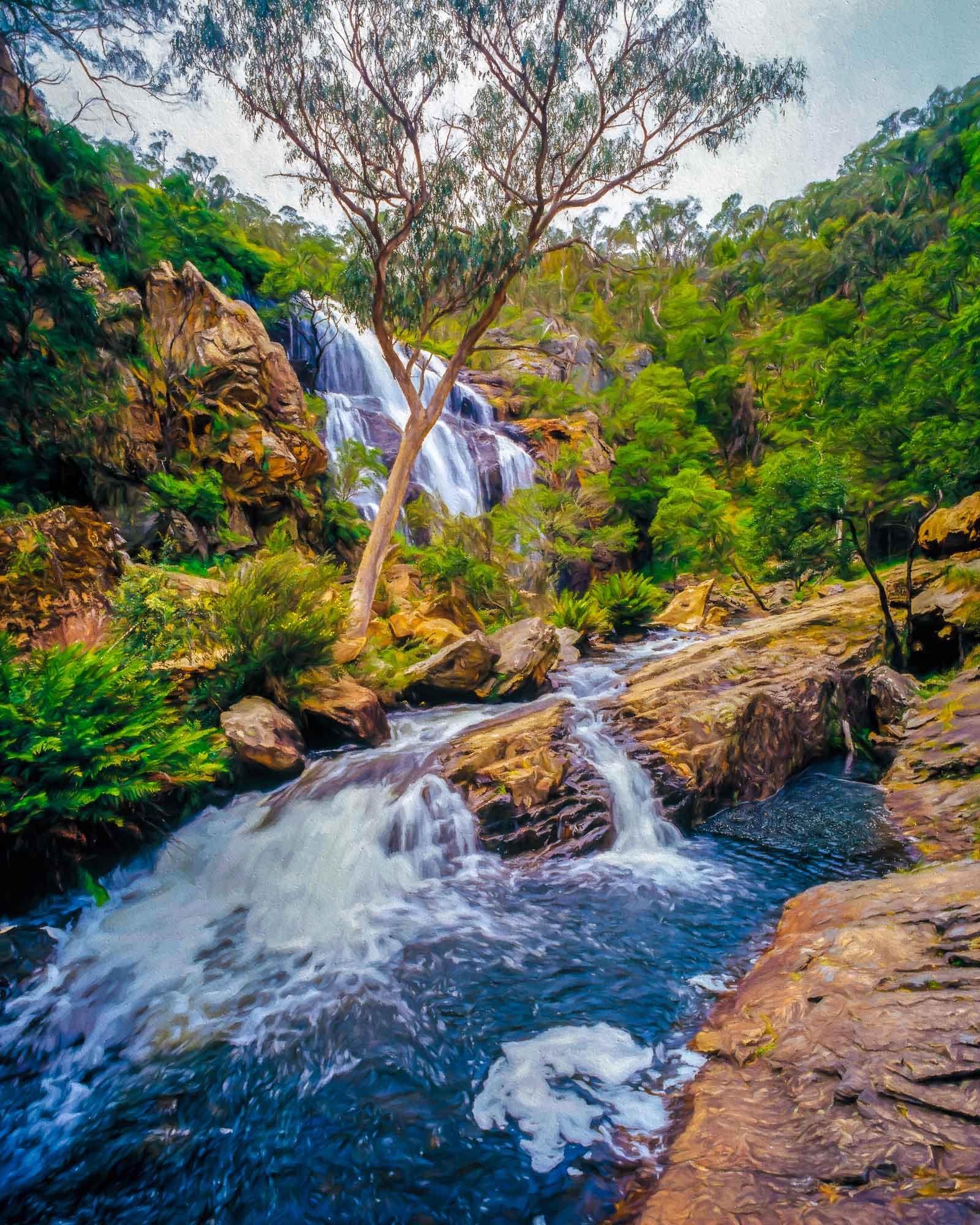 Digital Art: Australian Rivers Lakes and Floodplains