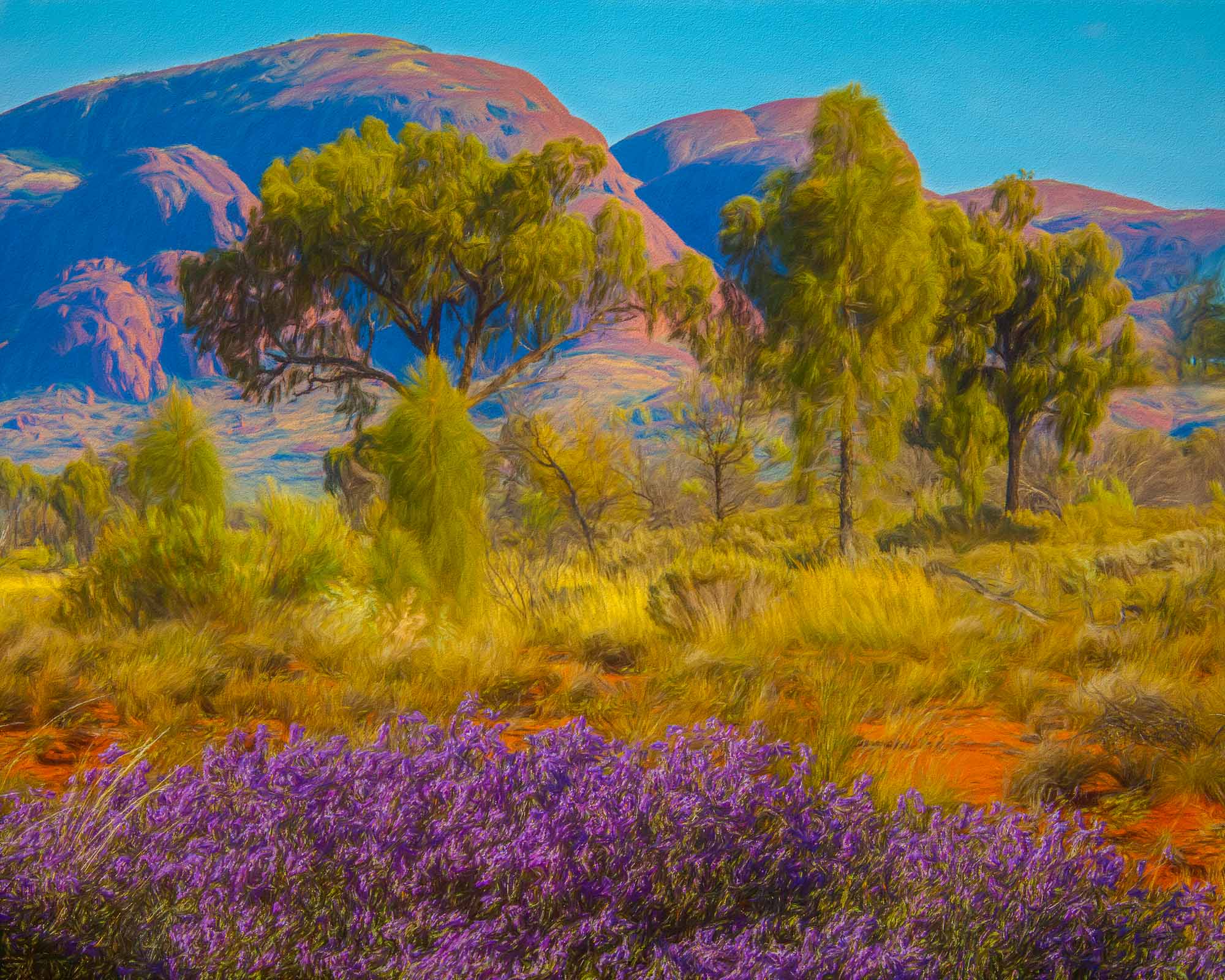Digital Art: Australia's Arid Lands